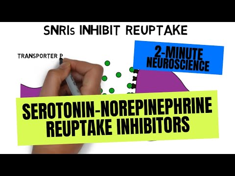 How Does Norepinephrine Cause Depression