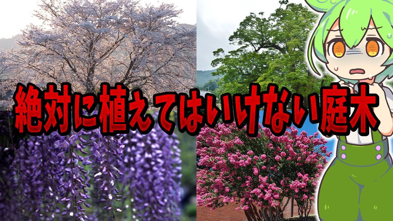 絶対に植えてはいけない庭木10選【ずんだもん解説】 Youtube