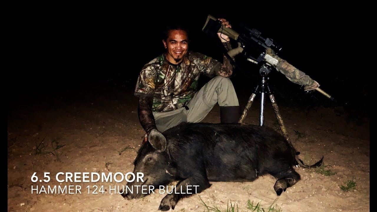 124gr Hammer Hunter Bullet | 6.5 Creedmoor | Hog Necropsy - YouTube