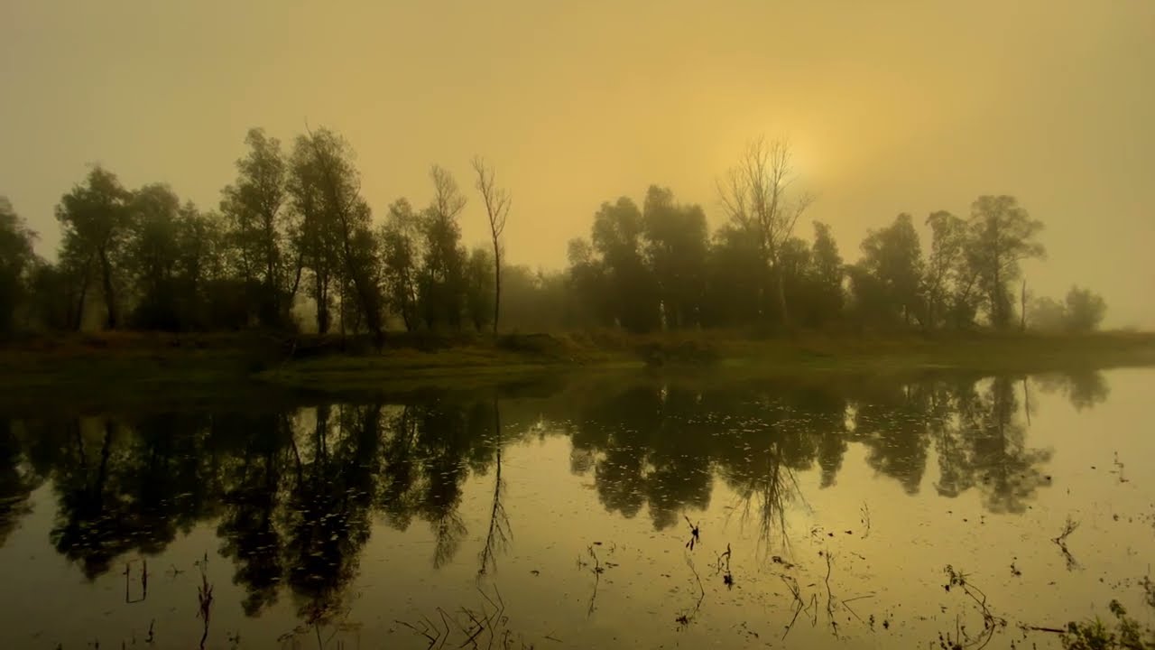 Erik van Os - Zomerbed - YouTube