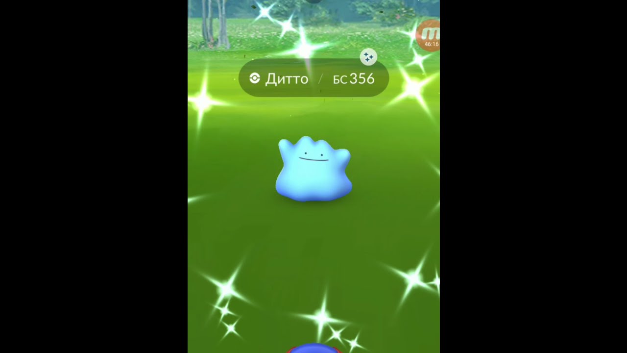 I've got a shundo Ditto!? - YouTube
