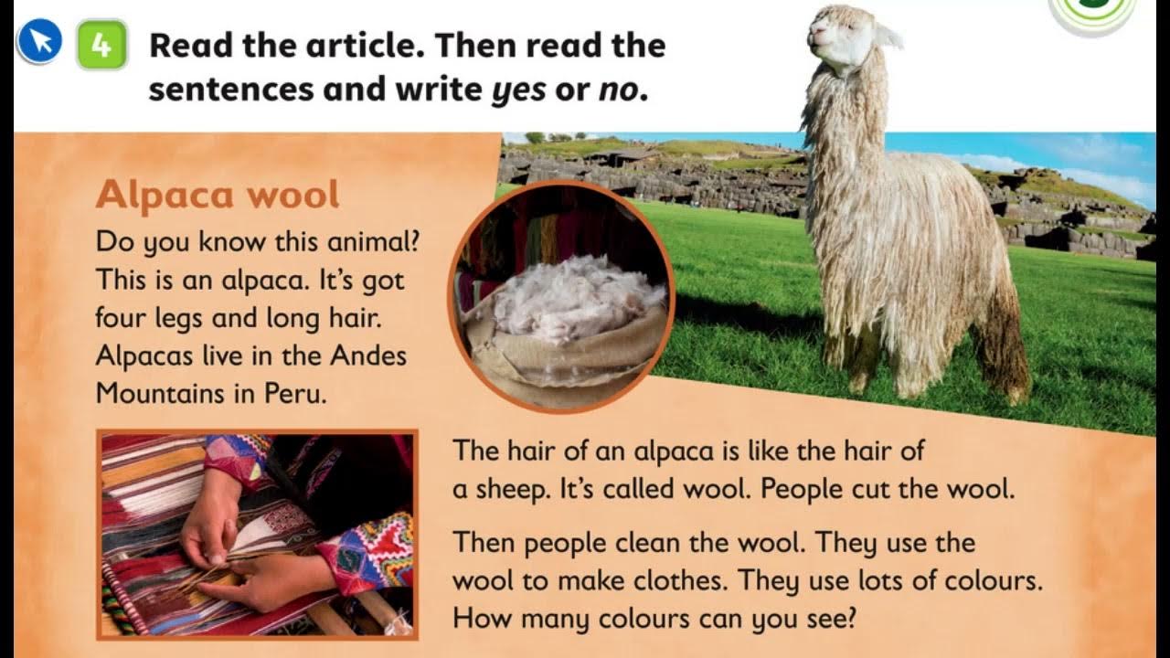 Unit 3 Alpaca wool - YouTube