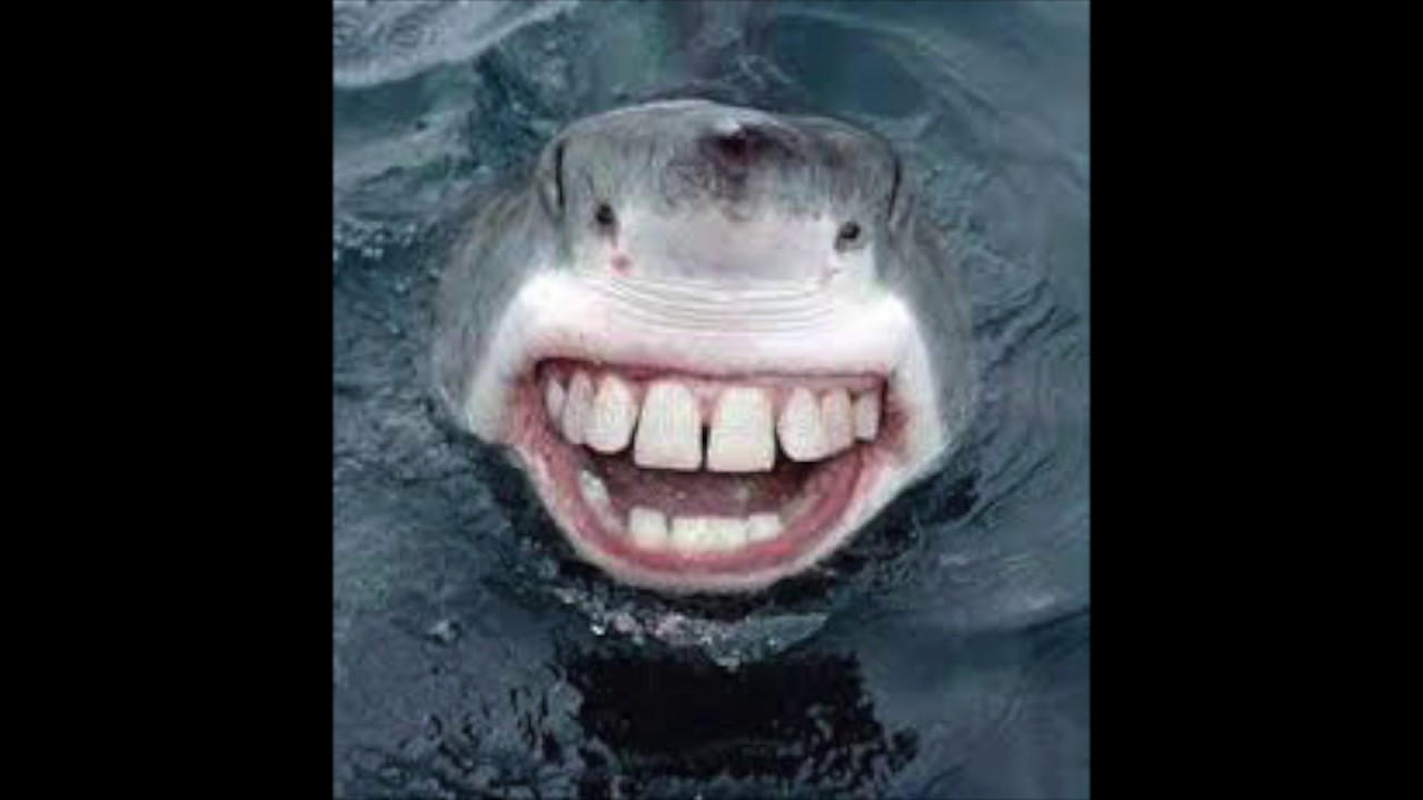 Cover baby shark but i'm screaming - YouTube