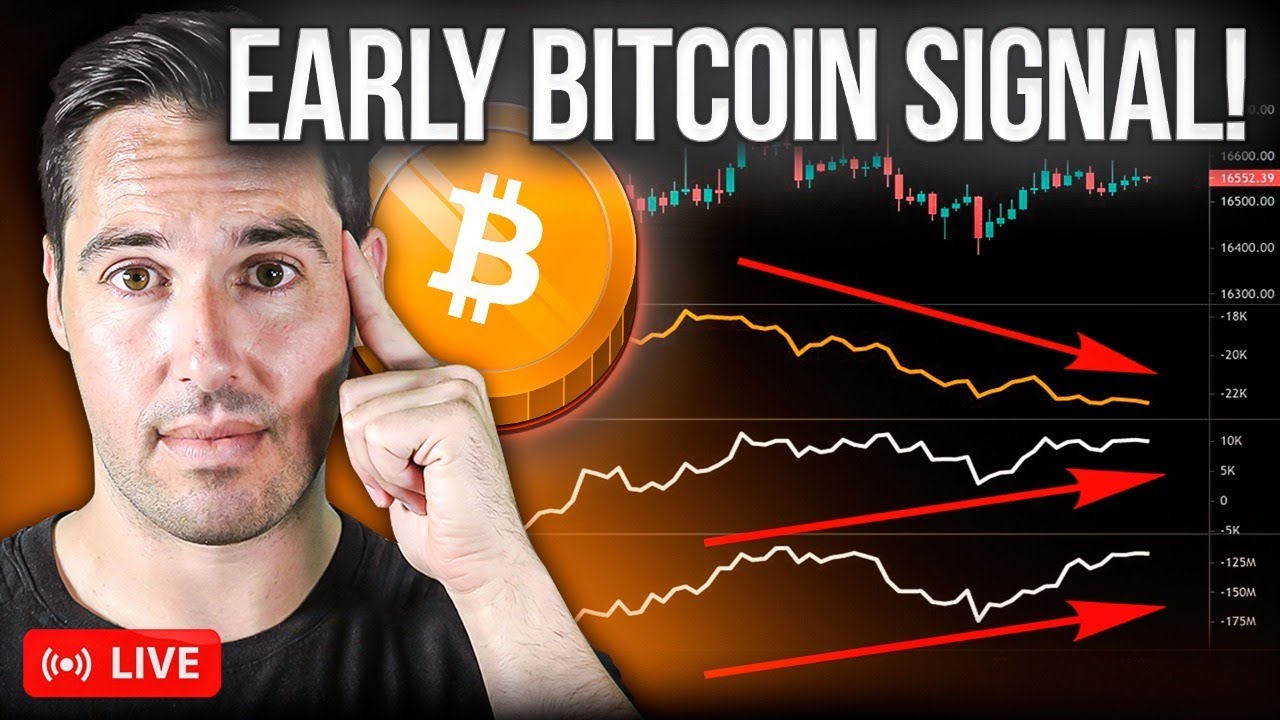 Flashing Indicator Shows Bitcoin's Next Move! | Prepare For Volatility! - YouTube