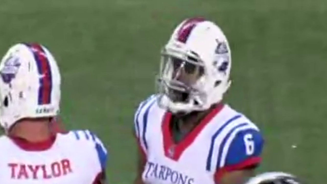 WR DAVID LEWIS 2017 Arena Football 5 Game Highlights - YouTube
