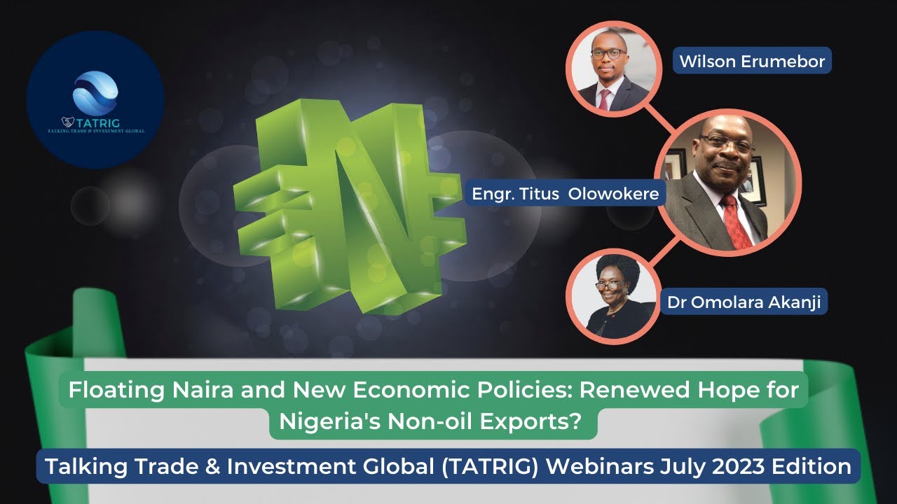 Discussion 2 & Round Up - Floating Naira and New Economic Policies ...