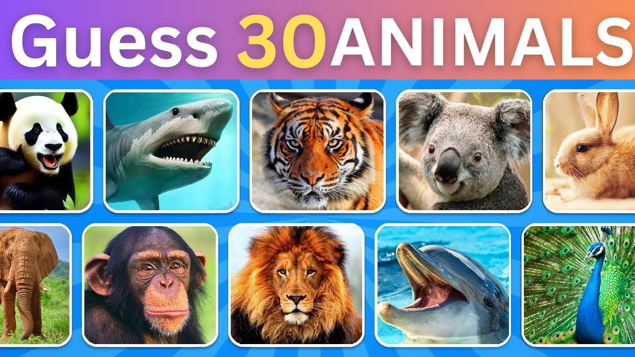 Guess 30 Animals in 3 Seconds | General Knowledge Animal Quiz | Easy ...