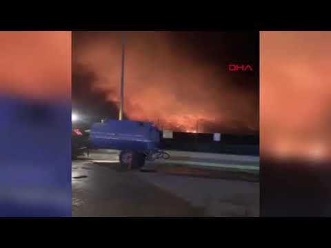 Osmaniye’de Korkutan Yangın! Entegre Tavuk Tesisinde Alevler Yükseldi