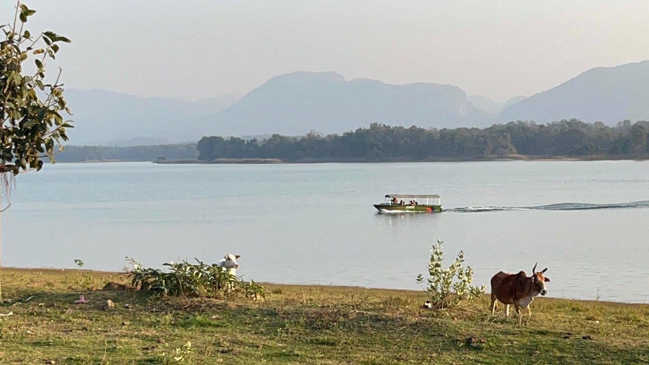 DAY 2 SATPURA WILDLIFE SERIES SOHAGPUR TO MADHAI PART 1 4K - YouTube