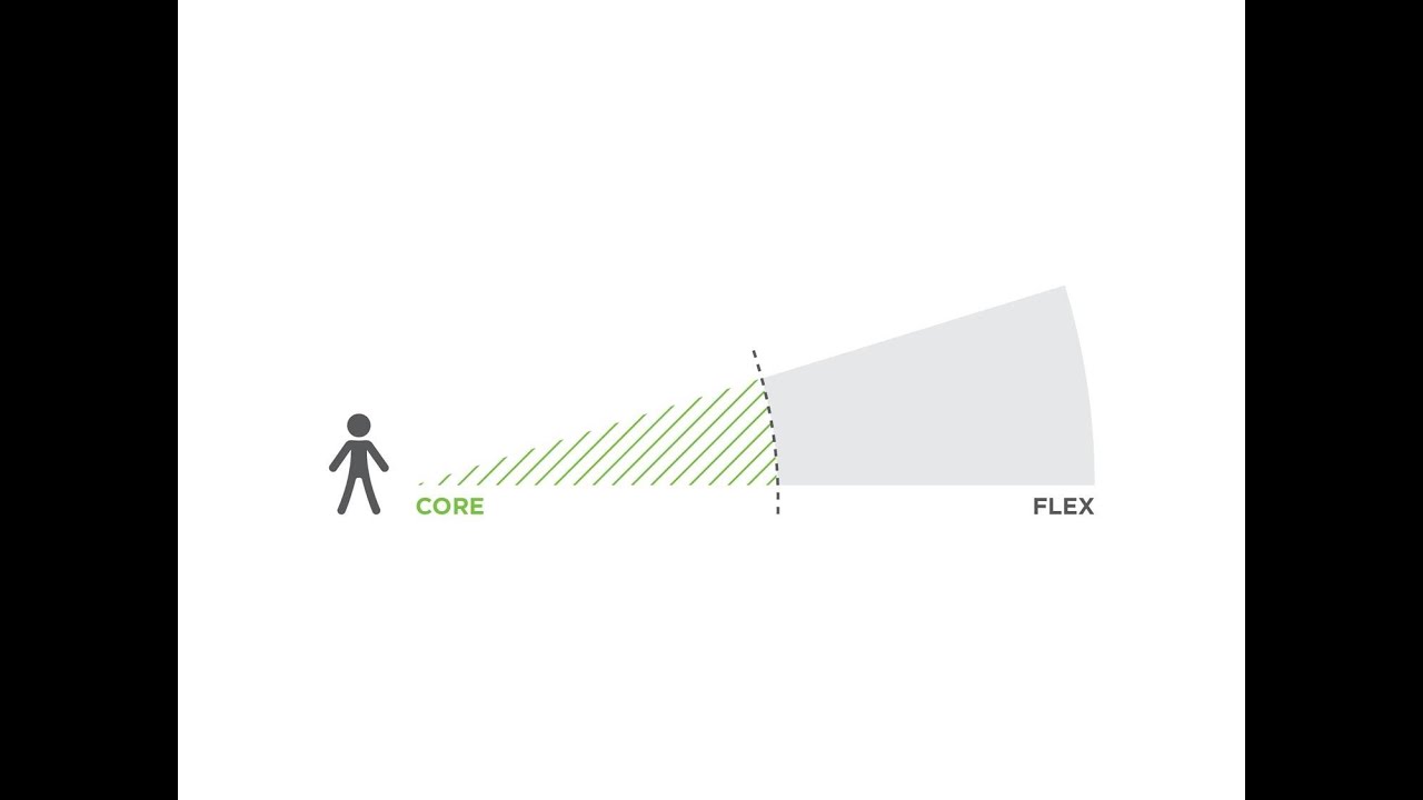 Cultural Intelligence: What is Core and Flex? - YouTube