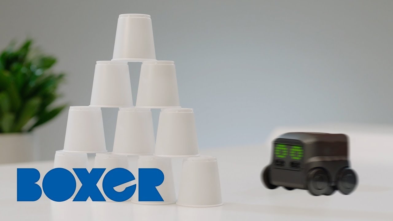 Boxer 🤖 | BOWLING - YouTube