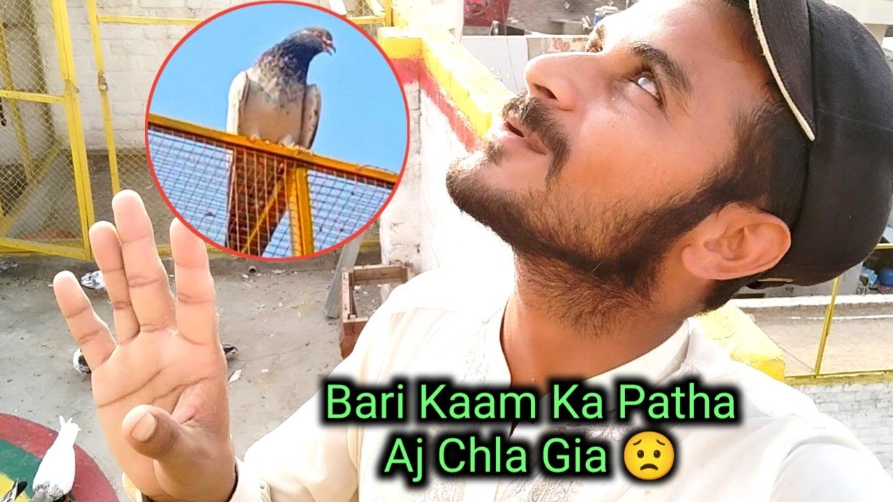 Bari Kaam Ka Patha Aj Chla Gia😟 - YouTube
