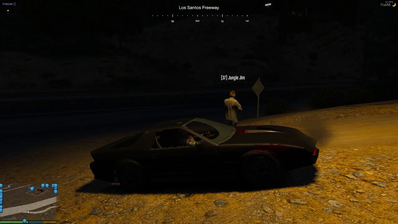 FiveM Mod - Zombie Server- Killing Some Zombies! (ZASP) - YouTube