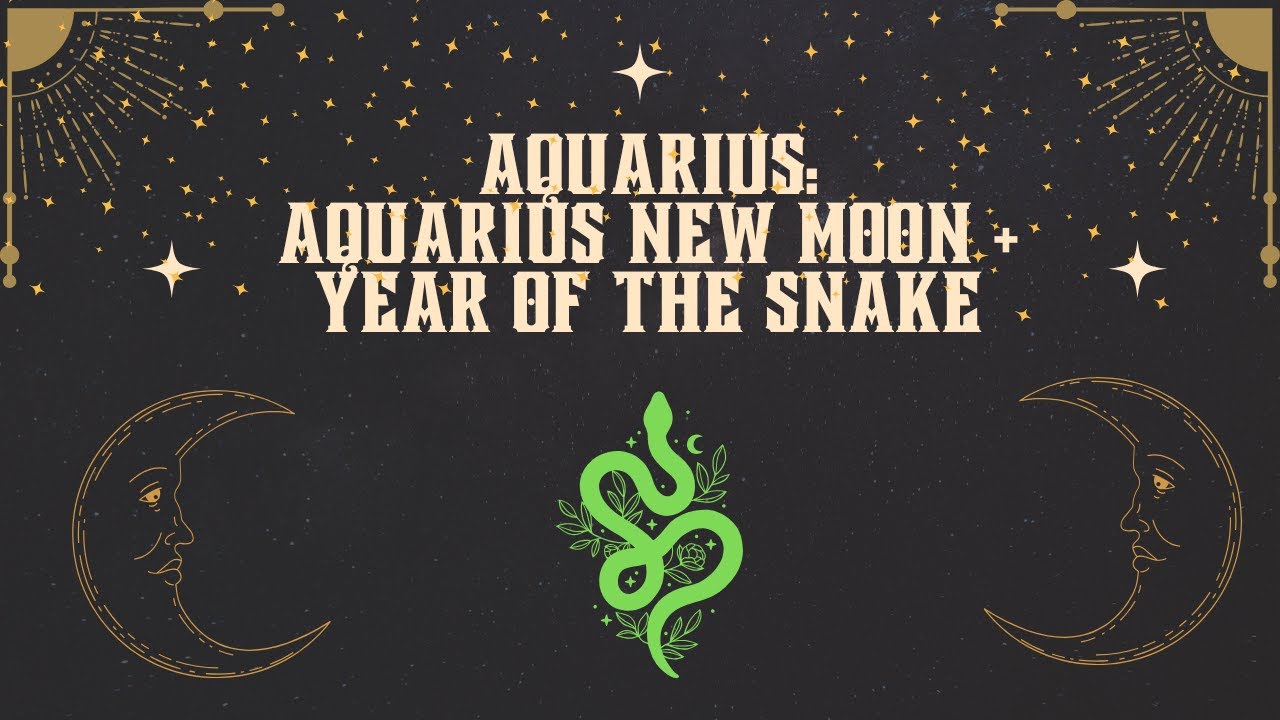 ♒️ Aquarius: AQUARIUS NEW MOON + YEAR OF THE SNAKE #astrology - YouTube