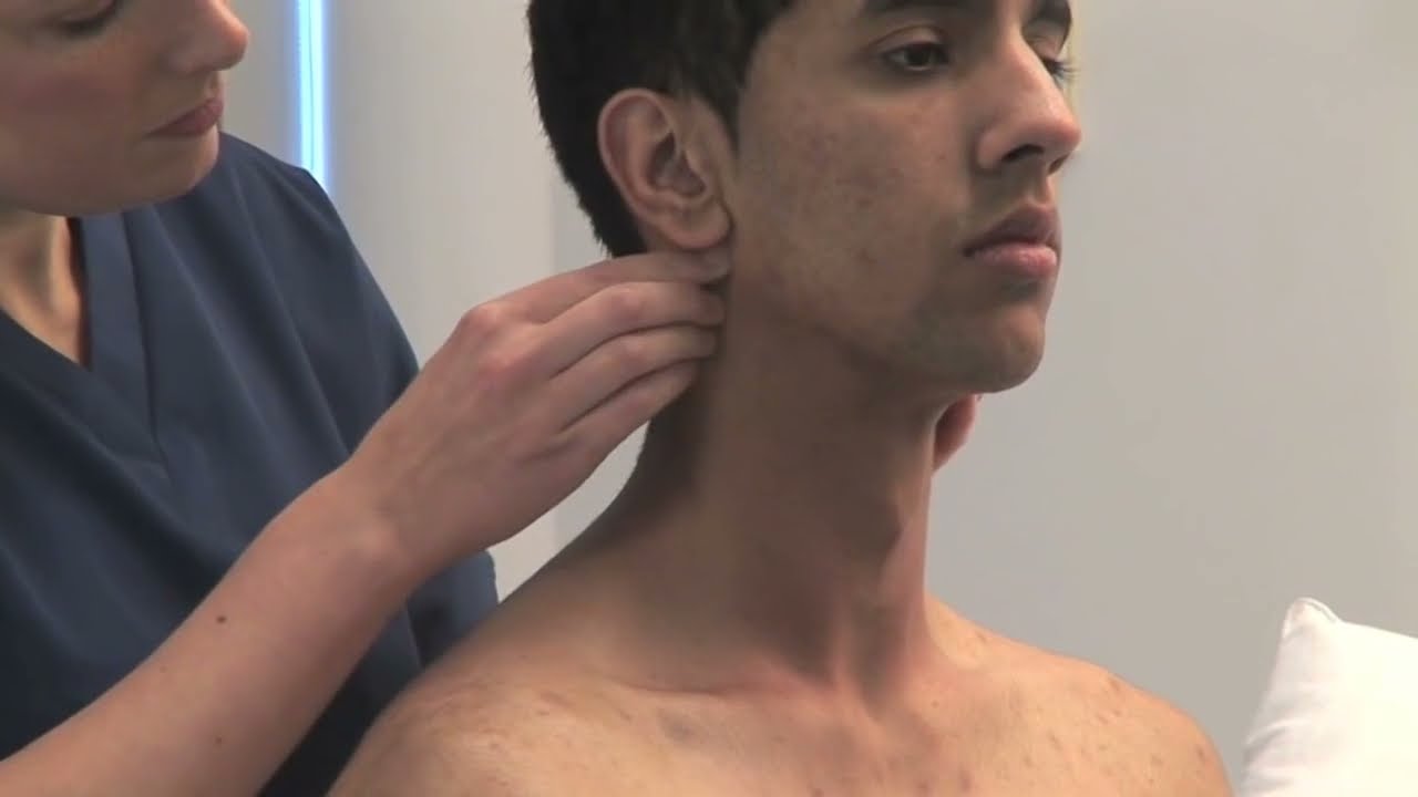 Macleod s clinical examination of the respiratory system - YouTube