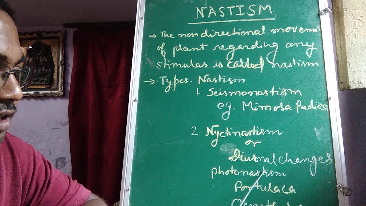 Nastism - YouTube