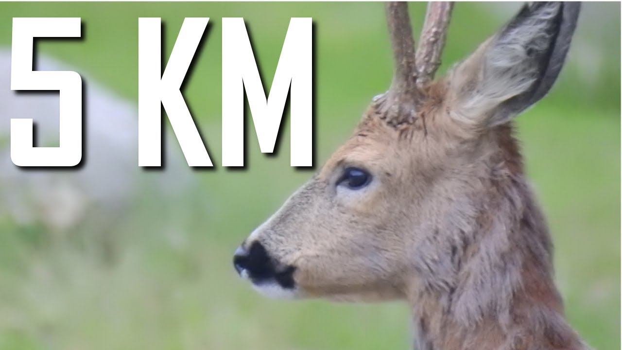 EXTREME ZOOM! | Nikon Coolpix P900 Zoom Test 5 Km (83x Optical Zoom ...