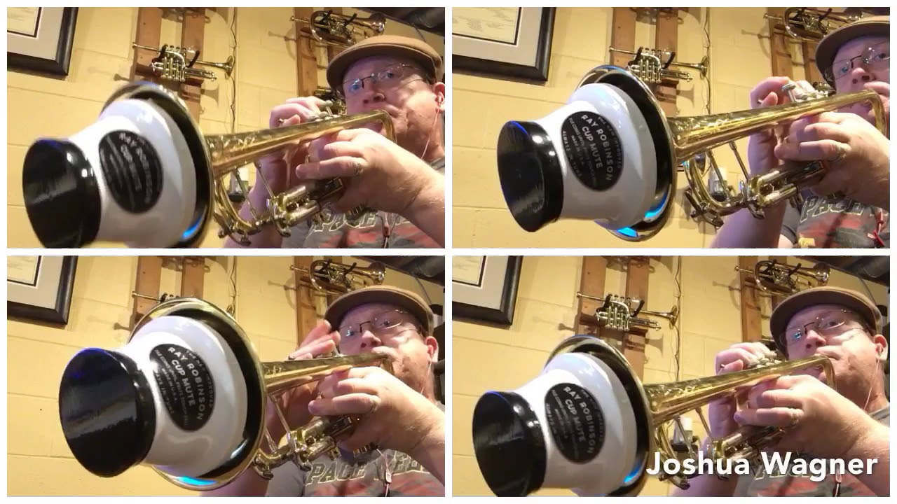 Vintage Ray Robinson Cup Mute - Restored - YouTube