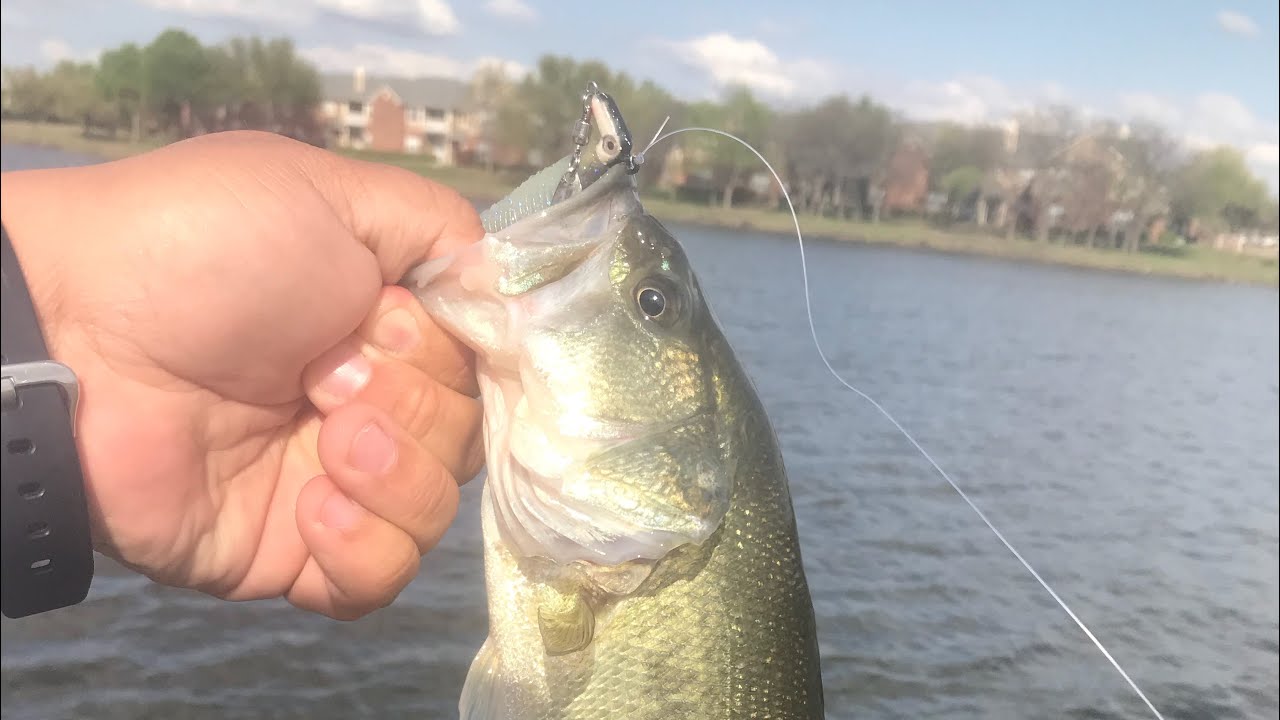 Fishing a Golf Course Pond - YouTube