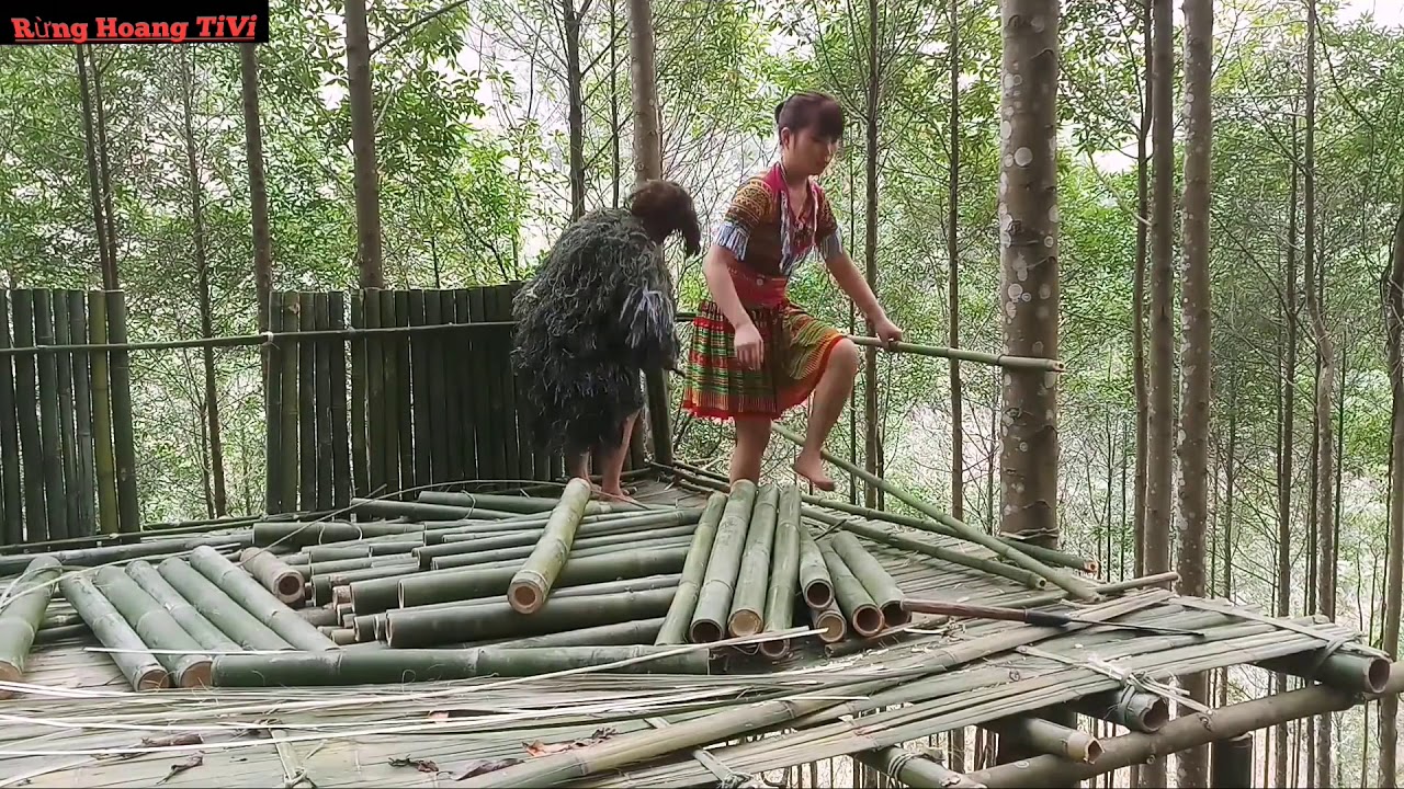 Survival skills: Forest people and ethnic girls build houses on trees ...