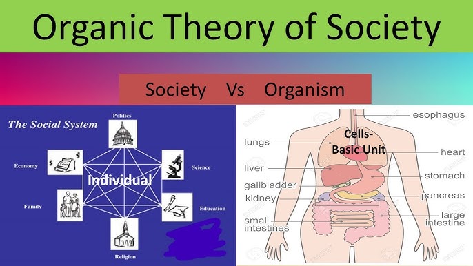Organic Theory Ratzel