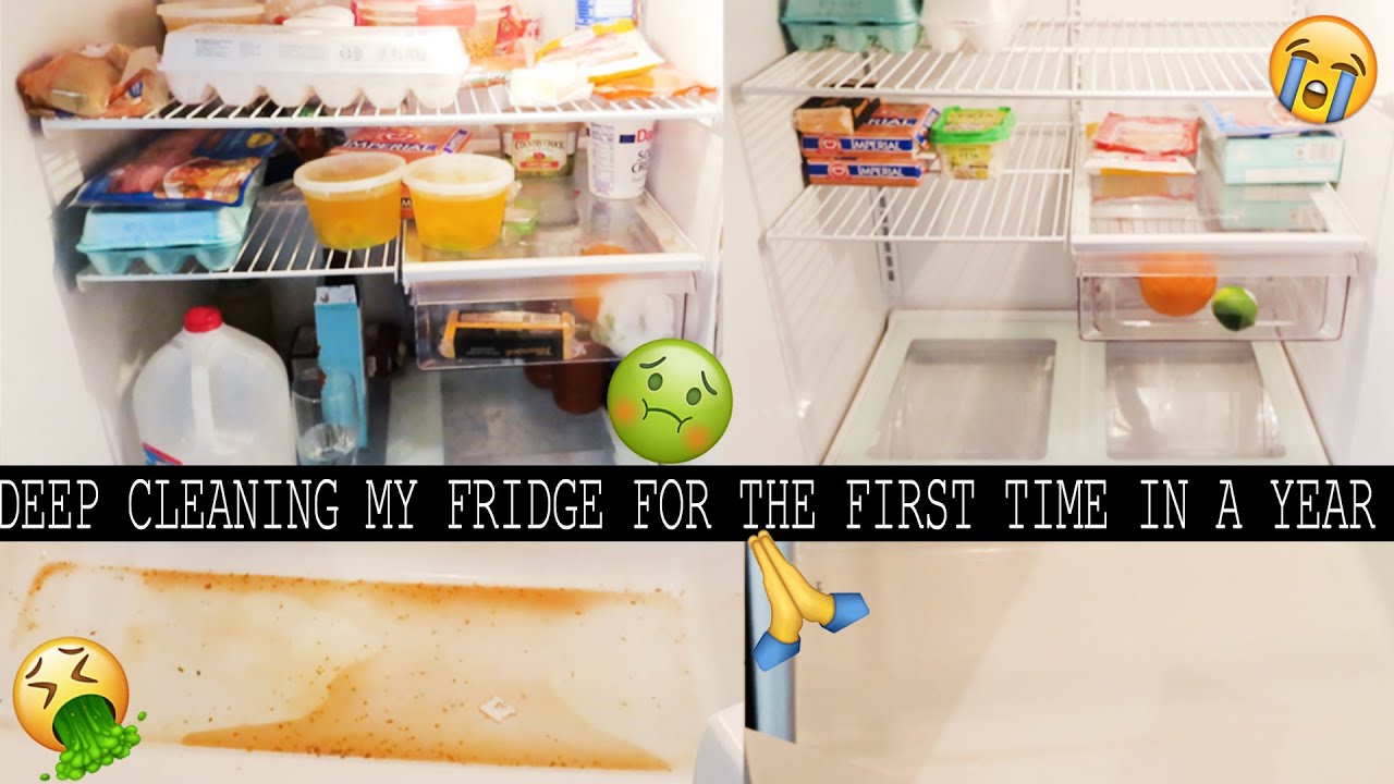 DEEP CLEANING MY DISGUSTING FRIDGE FOR THE FIRST TIME IN A YEAR ...