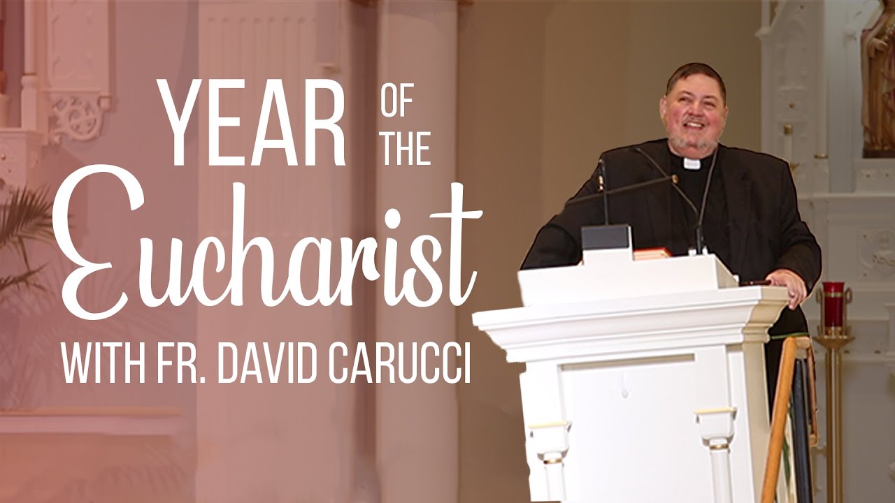 Year of the Eucharist - Fr. David Carucci, Homily June 12 - YouTube