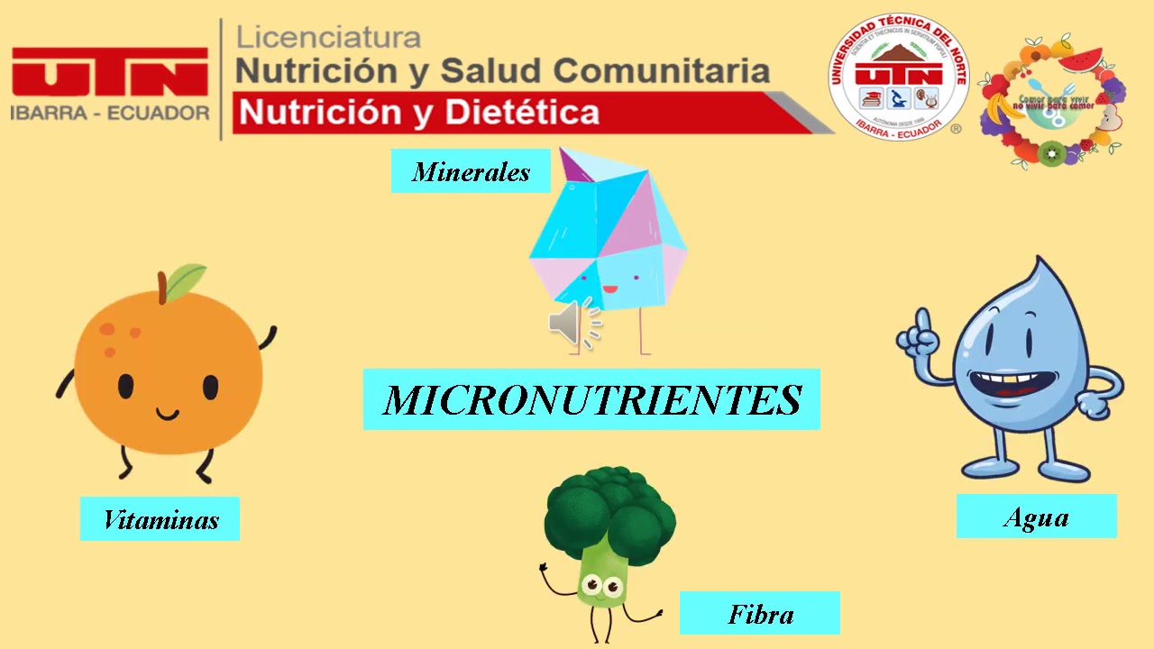 FUNCIONES DE LOS MACROMINERALES Y MICROMINERALES EN EL ORGANISMO - YouTube