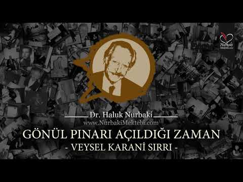 Gönül Sırrı Açıldığı Zaman: Veysel Karani Sırrı, Dr. Haluk Nurbaki
