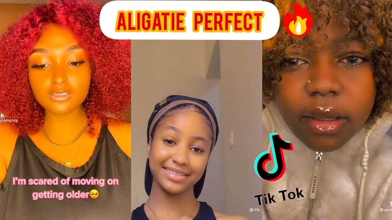 PERFECT | Aligatie Music Tiktok Compilation - YouTube