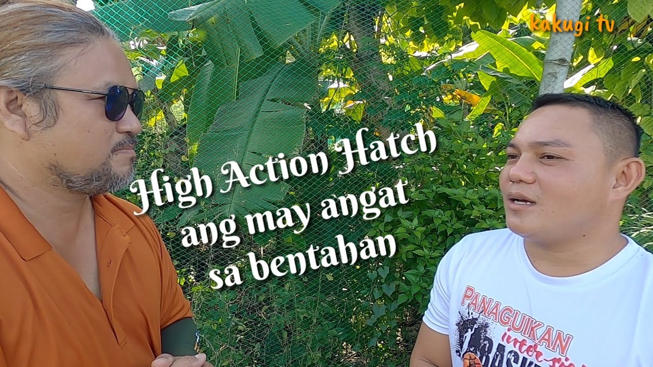EP210 Part 2: High Action Hatch may angat - YouTube
