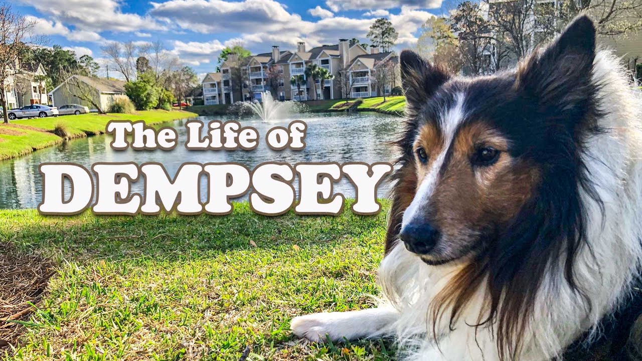 THE LIFE OF DEMPSEY (Full Documentary) - YouTube