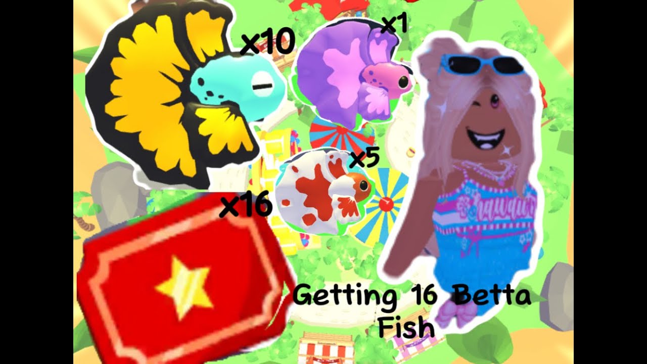 Getting 16 Betta fish in the summer star fair YOU WOULDNT BELIVE WHAT I ...