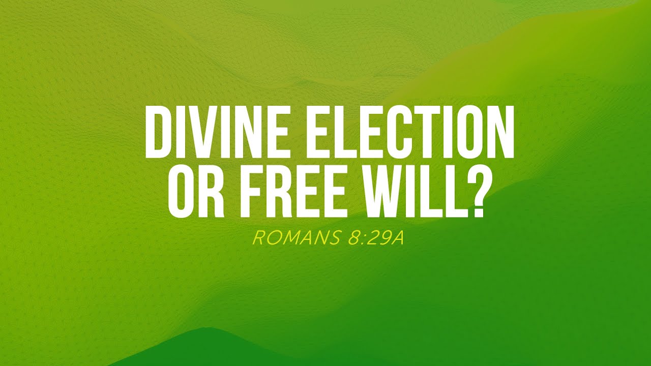 Divine Election or Free Will? - Romans 8:29A - OIC020 - YouTube