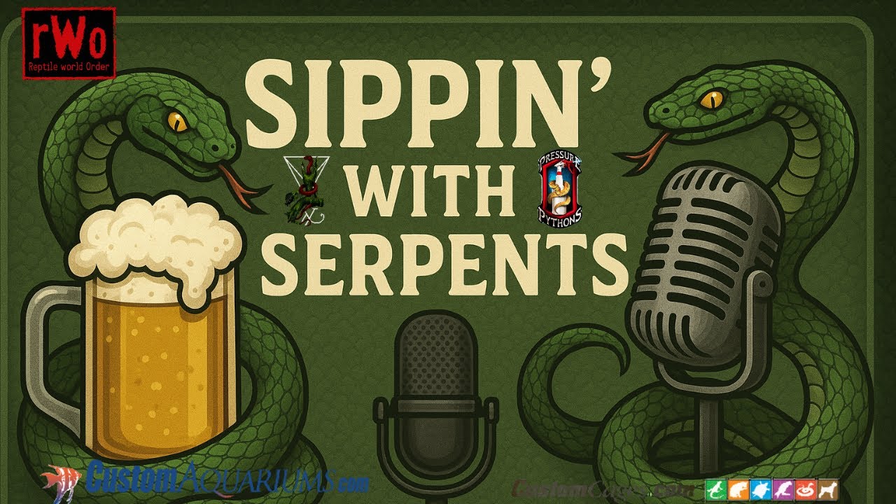 Sippin with Serpents ep11 - YouTube