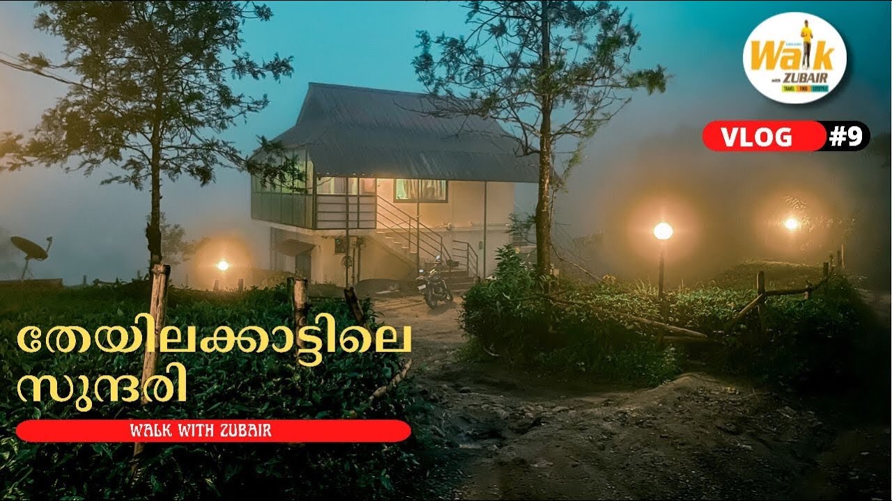 the Beauty Of The Tea Forest voyehomes the-beauty-of-the-tea-forest-voyehomes