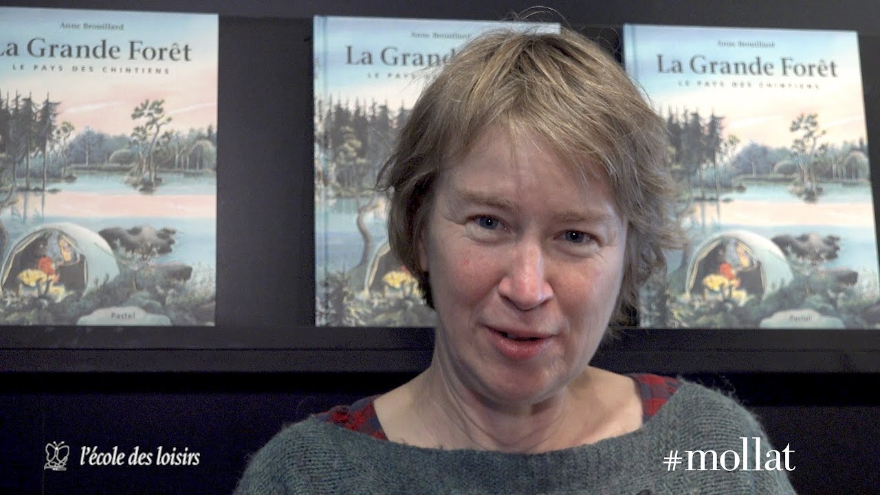 Anne Brouillard - Le pays des Chintiens. Volume 1, La grande forêt ...