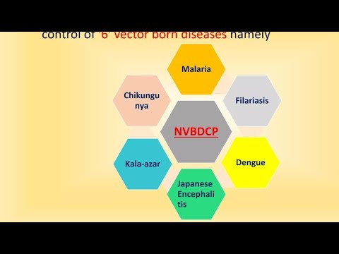 NVBDCP PROGRAM - YouTube