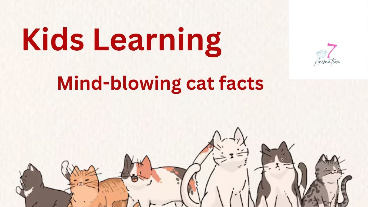 Kids Learning |Cat Facts | Fun Learning for kids| learning video - YouTube