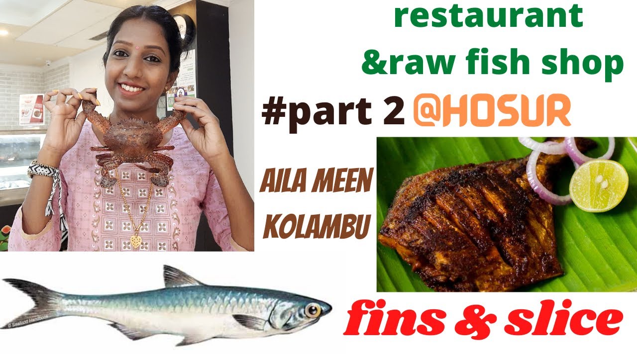 Fins And Slice at Hosur | Best and Fresh Sea Foods | PomFret Fry | Aila ...
