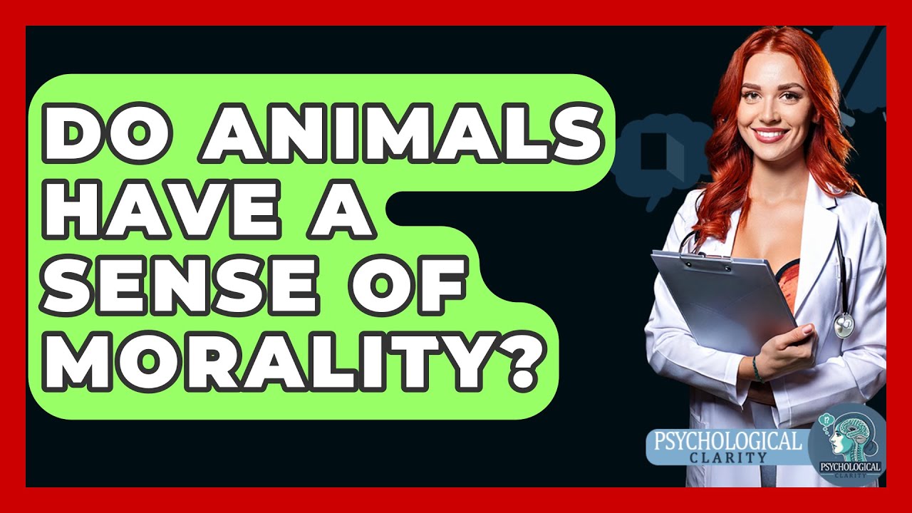 Do Animals Have A Sense Of Morality? - Philosophy Beyond - YouTube