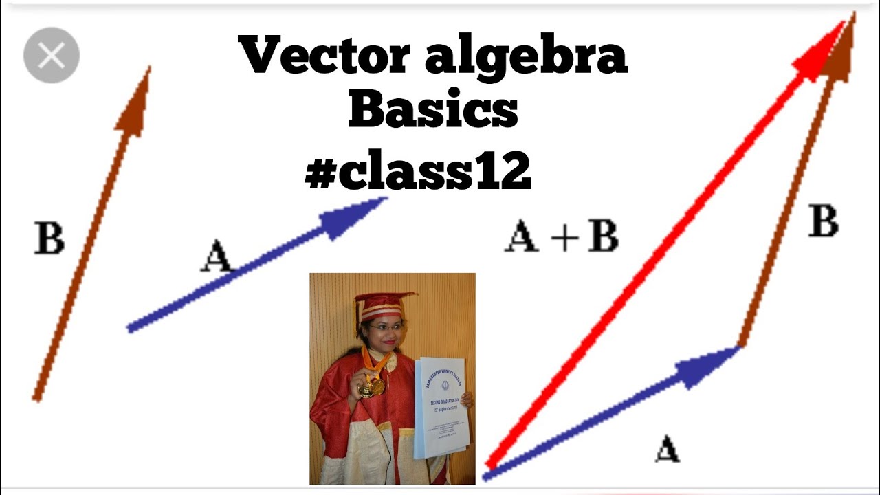 Vector algebra| basics| class 12| representation & position vector| JAC ...