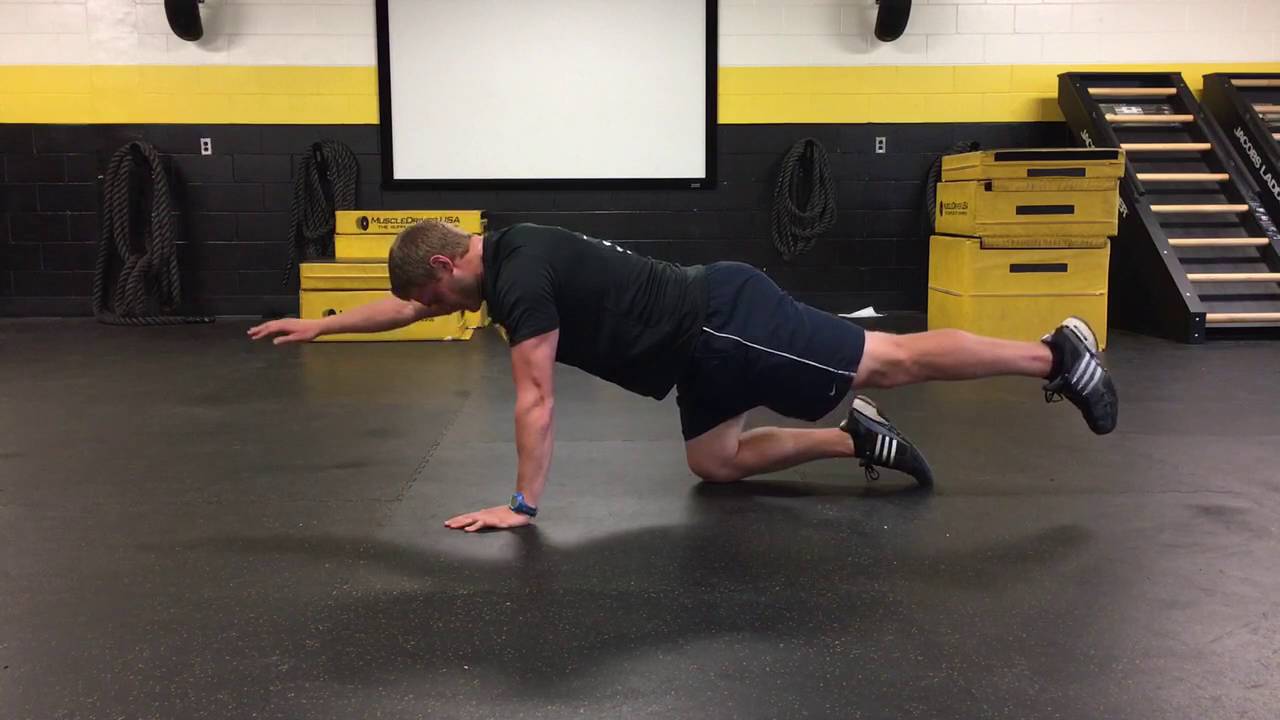 Bird-Dog/Quadruped Exercise - YouTube