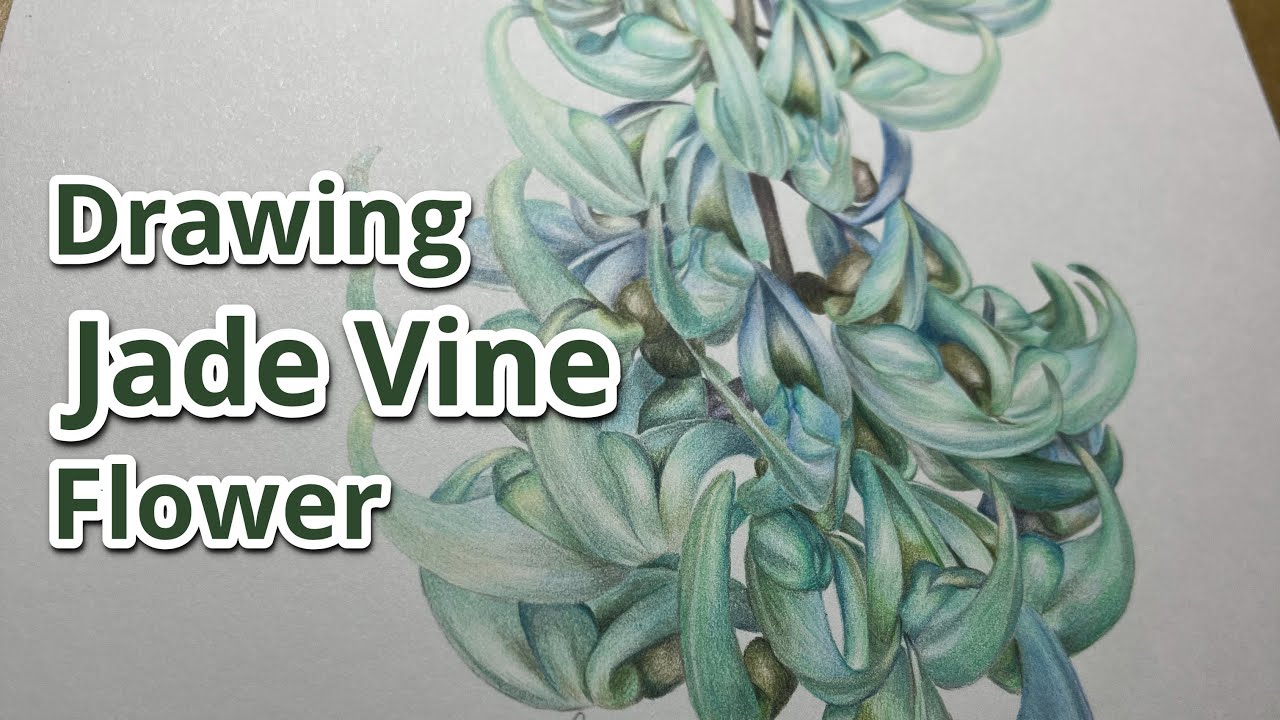 [ENG SUB] Drawing Jade Vine Flower - YouTube