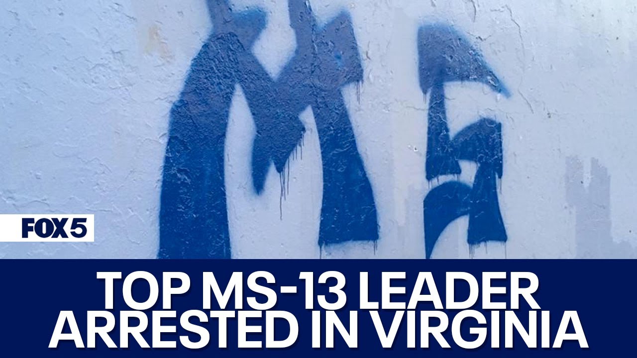 Top MS-13 leader arrested in Virginia | FOX 5 DC - YouTube