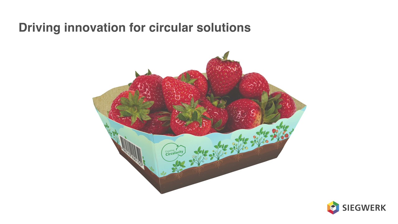 Transforming your application through innovative circular solutions ...