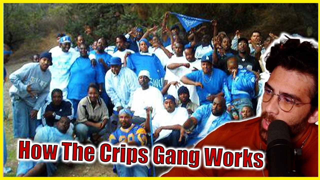 How The Crips Gang Actually Works | Hasan Clip Factory - YouTube