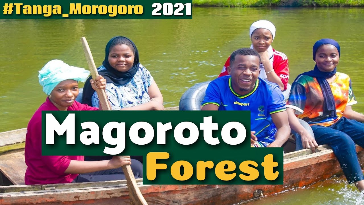 Adventure in MAGOROTO FOREST ESTATE (Tanzania🇹🇿) | #Tanga_Morogoro ...
