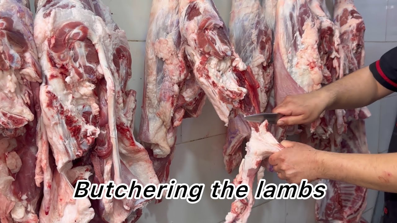 How To Butcher An Entire lamb: Every Cut Of Meat Explained | butcher ...