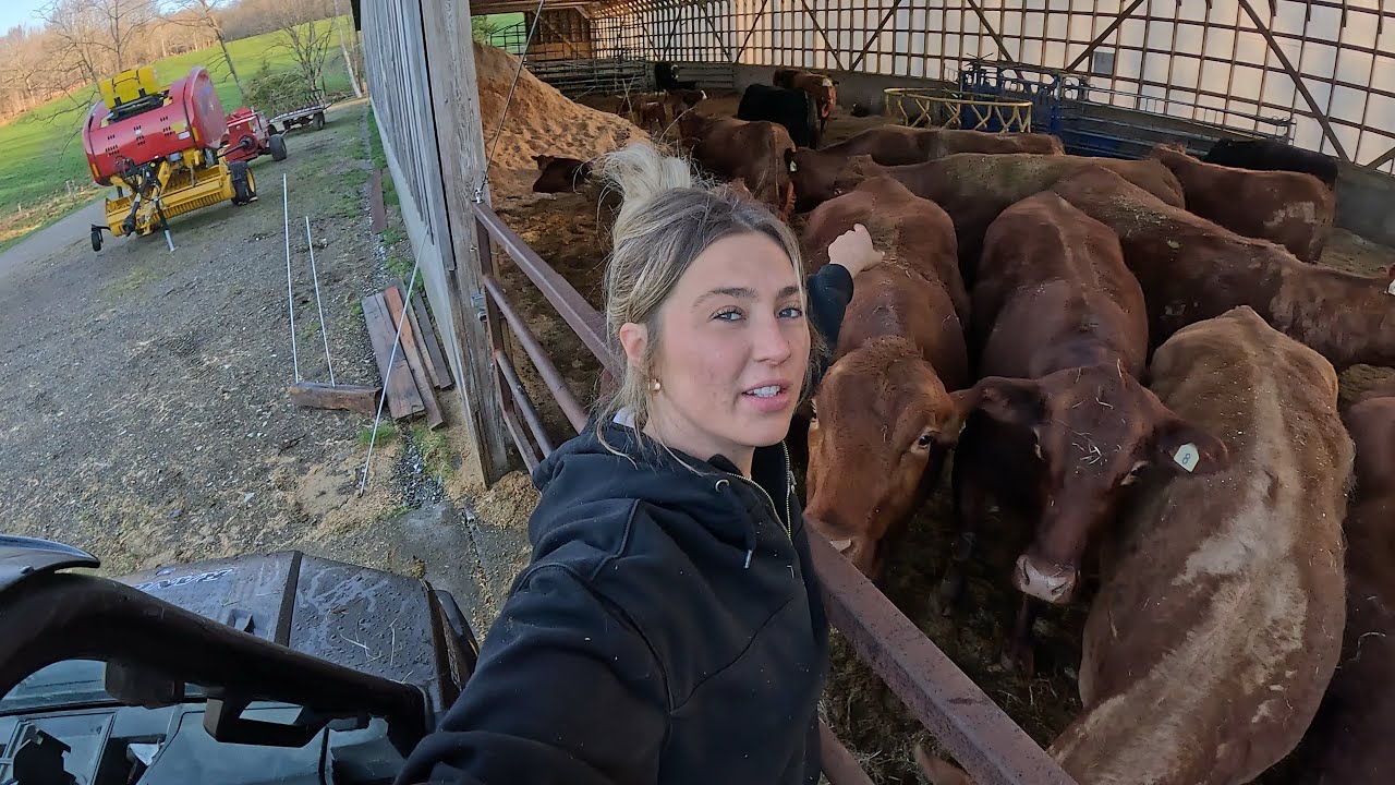 Butcher Run & Pasture Babies - YouTube